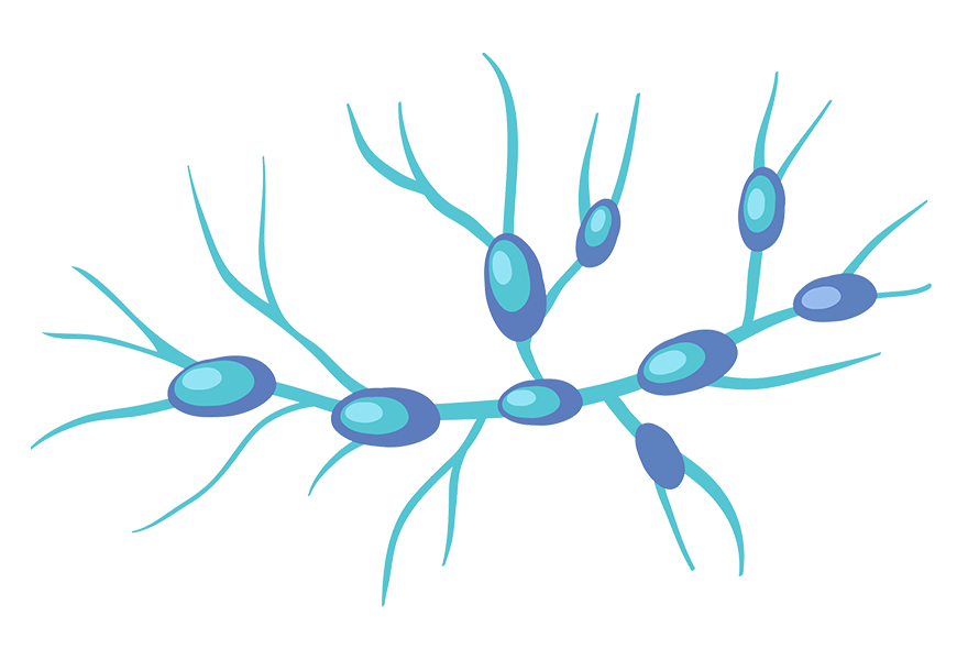 Mahroof CM – Mahroof CM | Ethical Hacker | Personal coach | Keynote ...